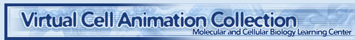 Virtual Cell Animation Collection – Science for All